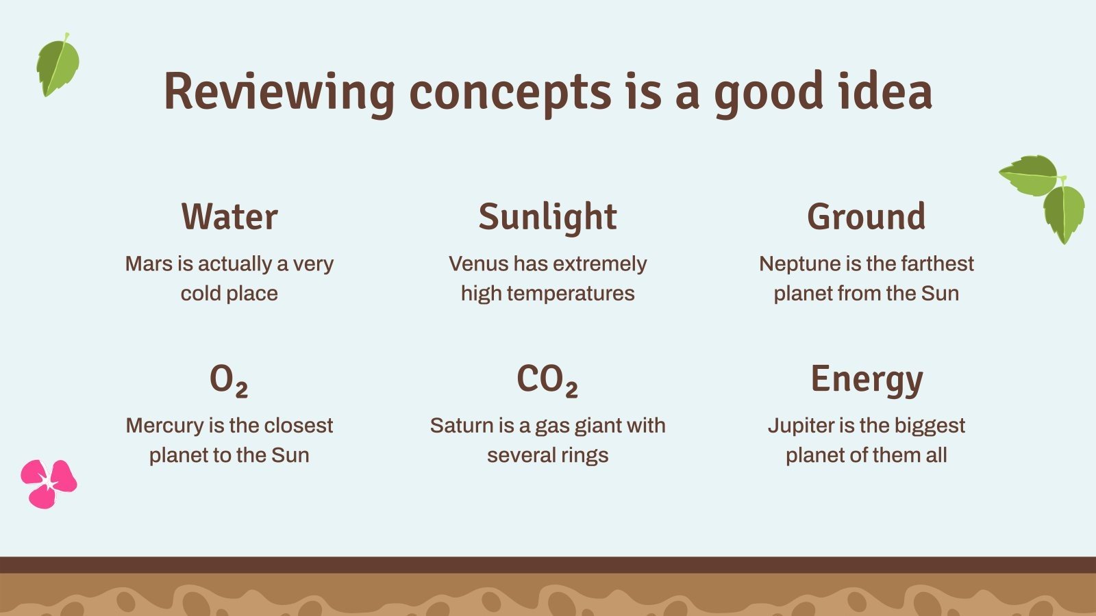Science for Elementary: Plant Life Cycle Presentation