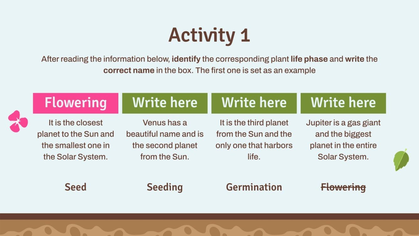 Science for Elementary: Plant Life Cycle Presentation