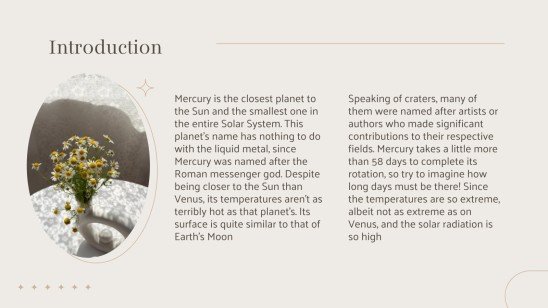 Gorgeous Minimalist Slides Presentation