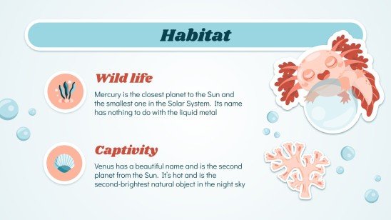 Extremely Adorable Baby Axolotl Minitheme Presentation