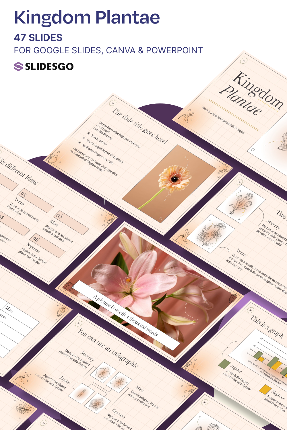 Kingdom Plantae Presentation