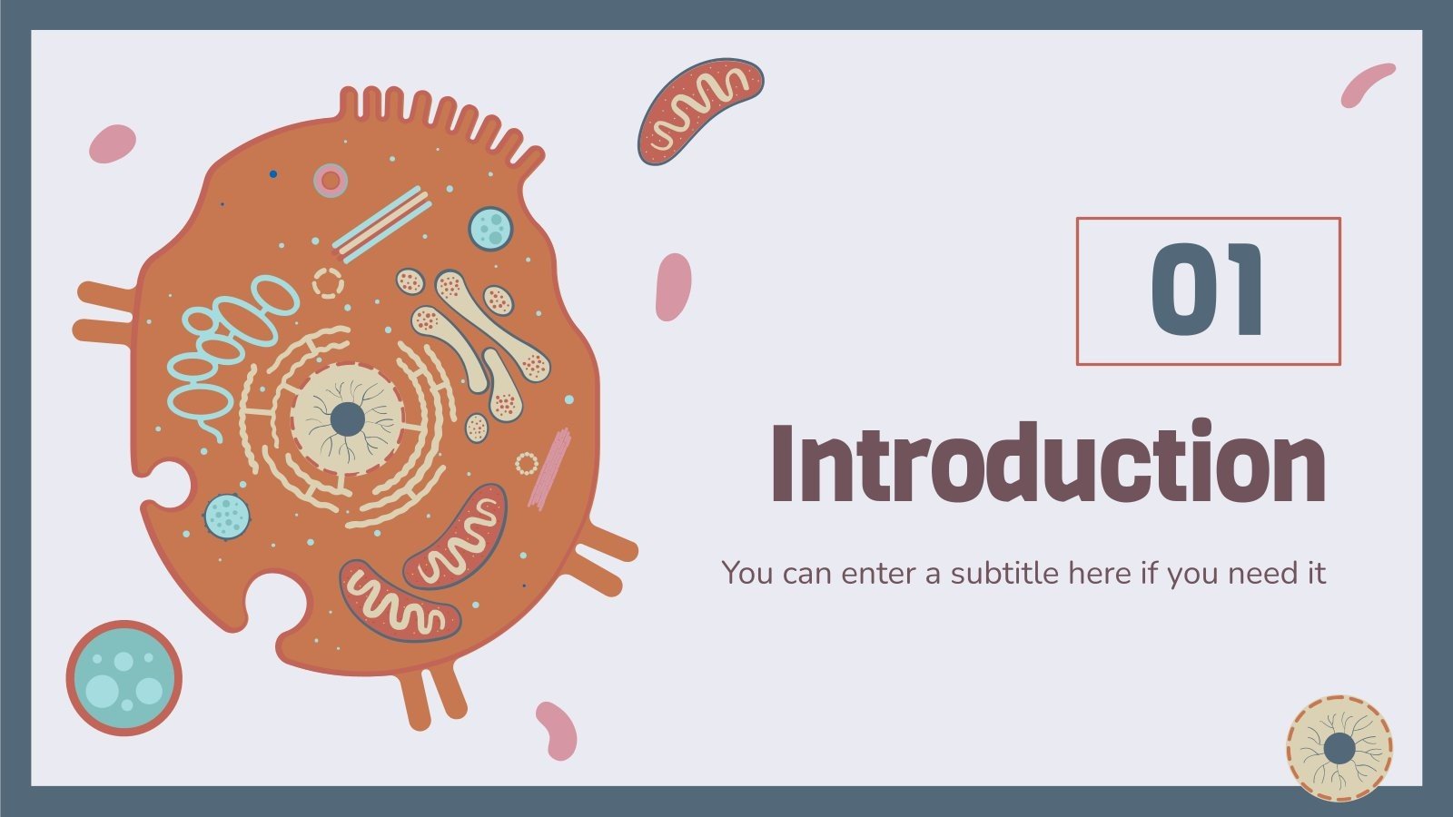 Biology Subject for High School: Eukaryotic Cell