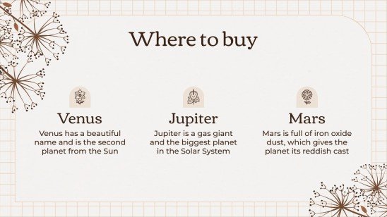 Botany Dry Flowers Illustrations Theme Presentation