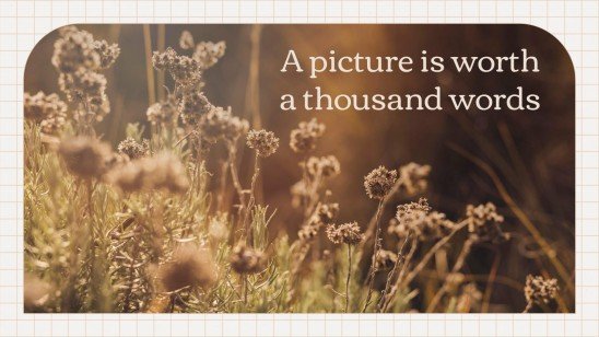 Botany Dry Flowers Illustrations Theme Presentation