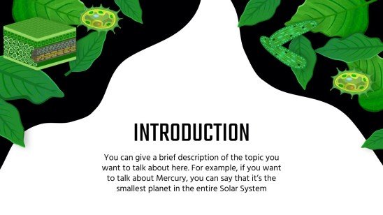 Science Subject: Structure & Function of Plants Presentation
