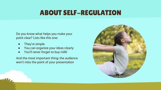Self Regulation Techniques for Pre-K Presentation