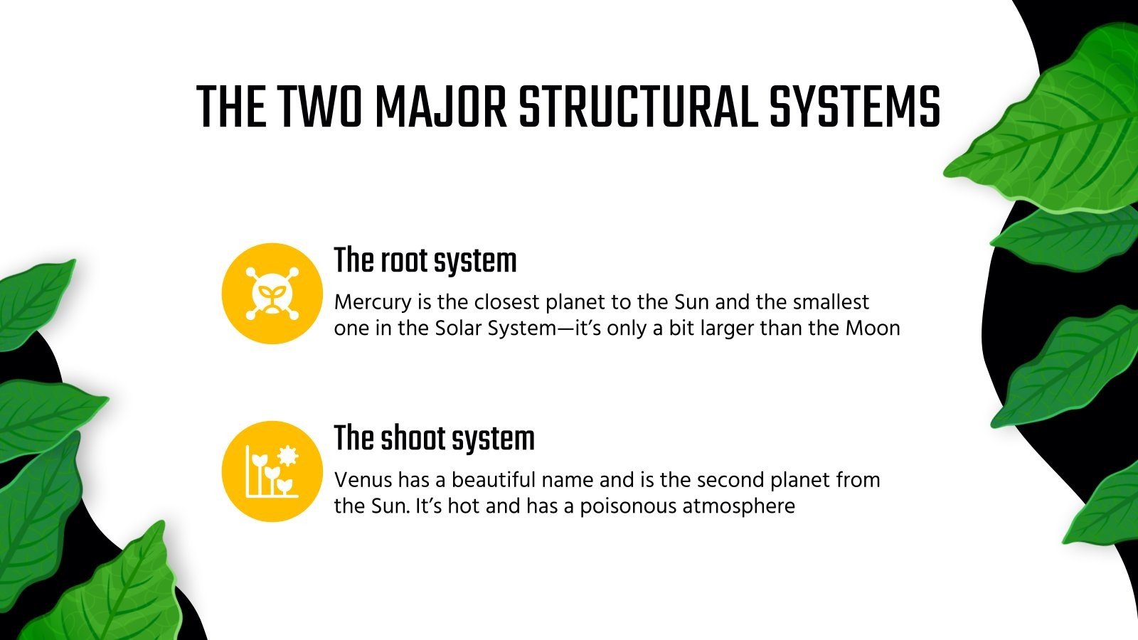 Science Subject: Structure & Function of Plants Presentation