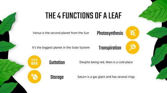 Science Subject: Structure & Function of Plants Presentation