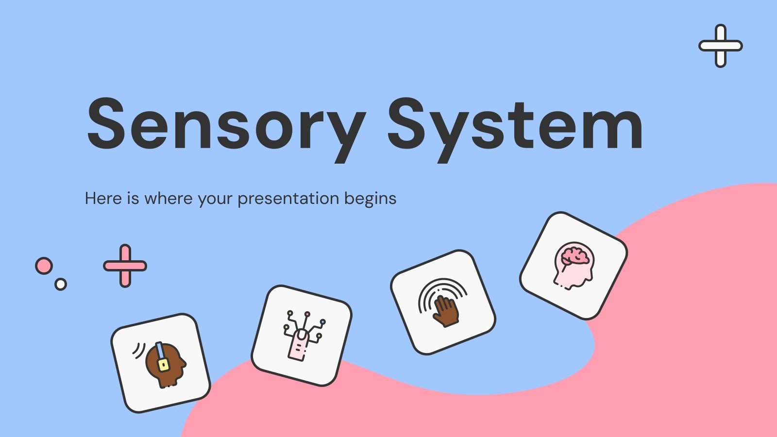 Sensory System Presentation