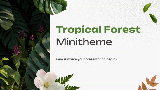 Tropical Forest Minitheme Presentation