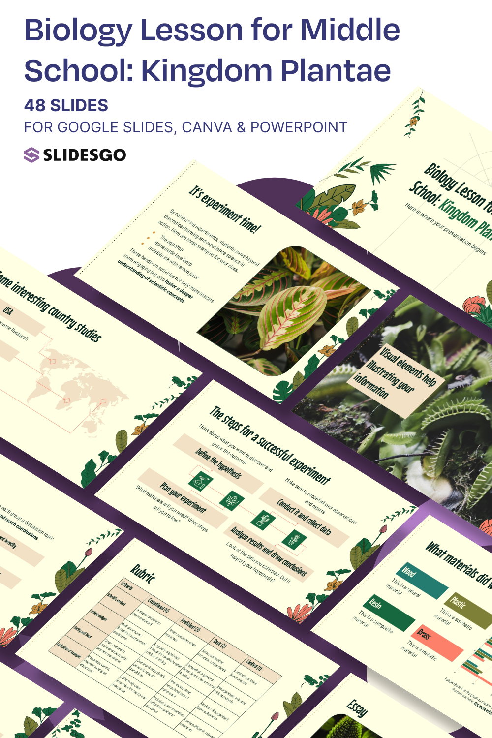 Biology Lesson for Middle School: Kingdom Plantae