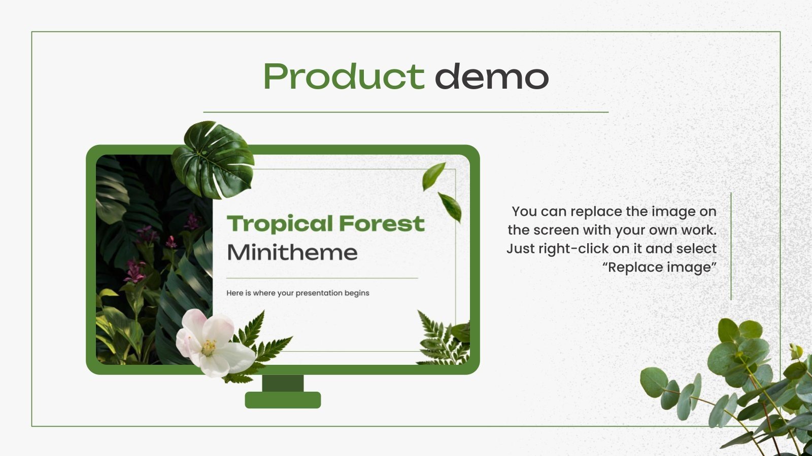 Tropical Forest Minitheme Presentation