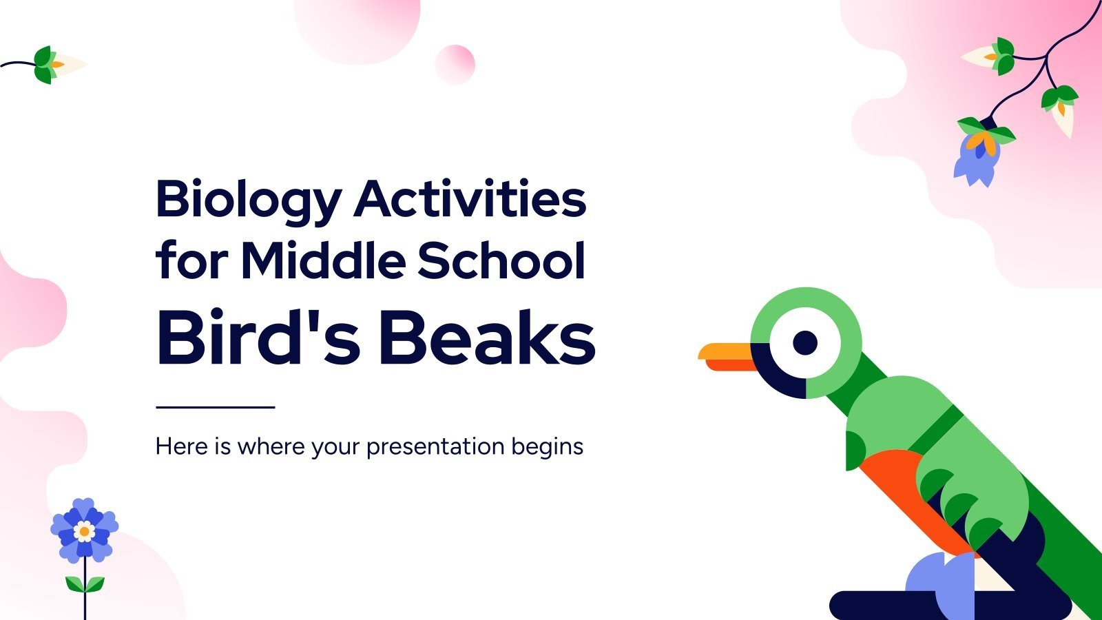 Biology Activities for Middle School: Bird's Beaks