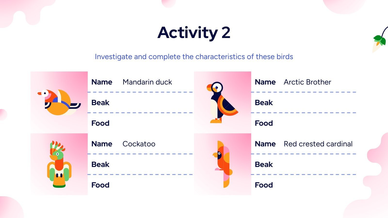 Biology Activities for Middle School: Bird's Beaks