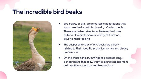 Biology Activities for Middle School: Bird's Beaks