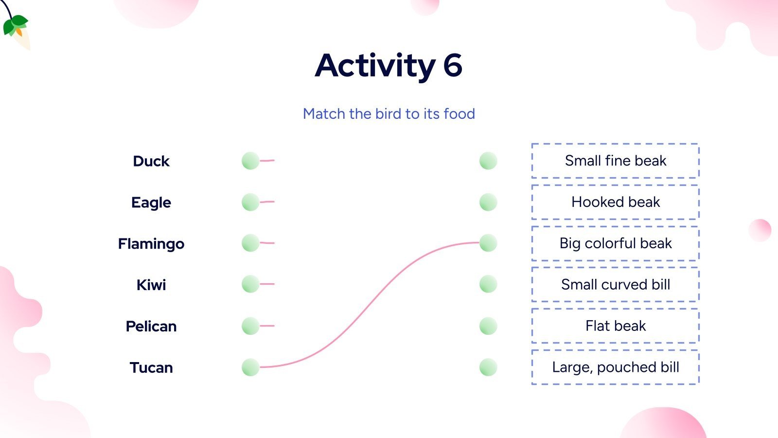 Biology Activities for Middle School: Bird's Beaks