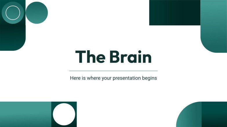 The Brain Presentation