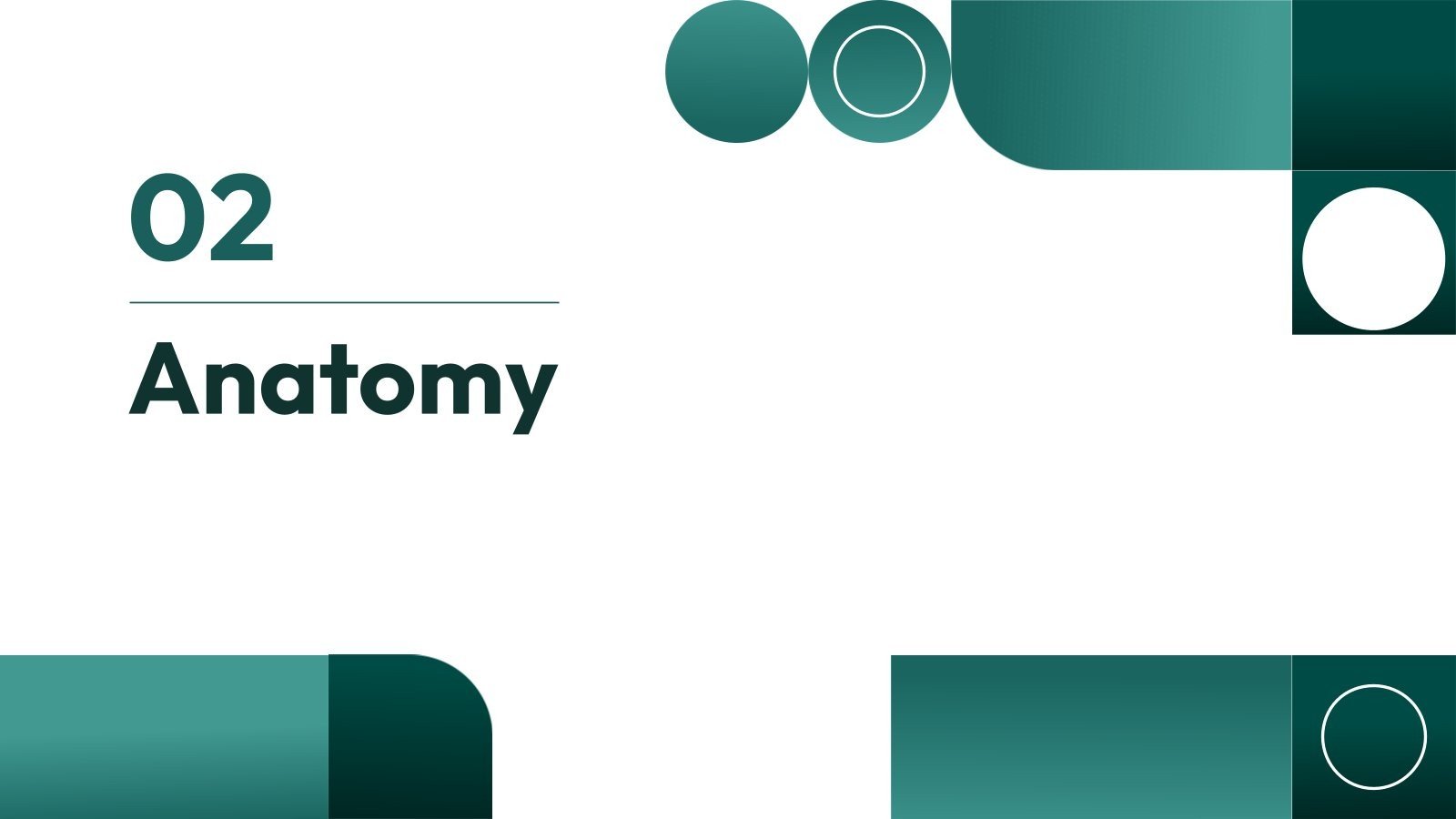 The Brain Presentation