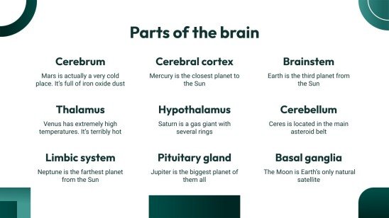 The Brain Presentation