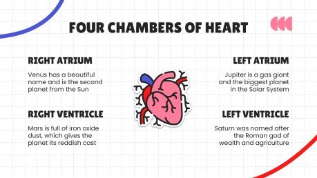 Health Science Subject: Cardiovascular System