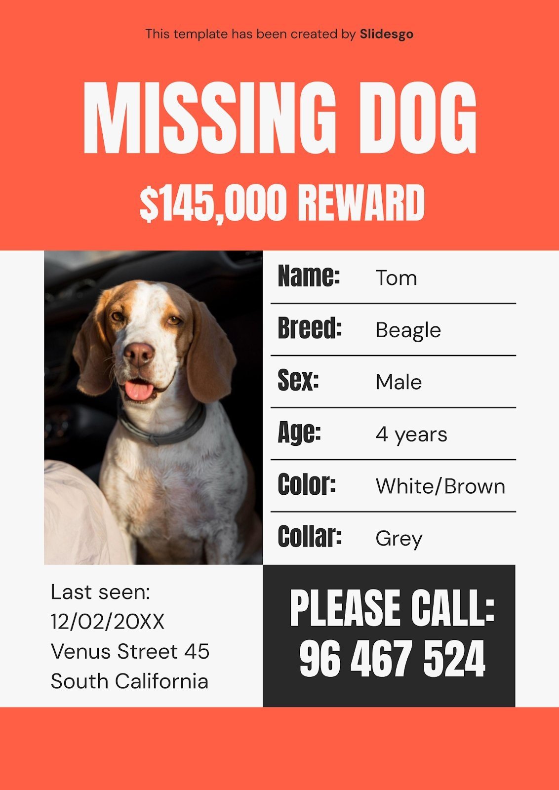 Printable Missing Dog Poster Presentation
