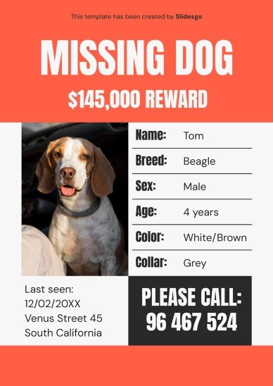 Printable Missing Dog Poster Presentation