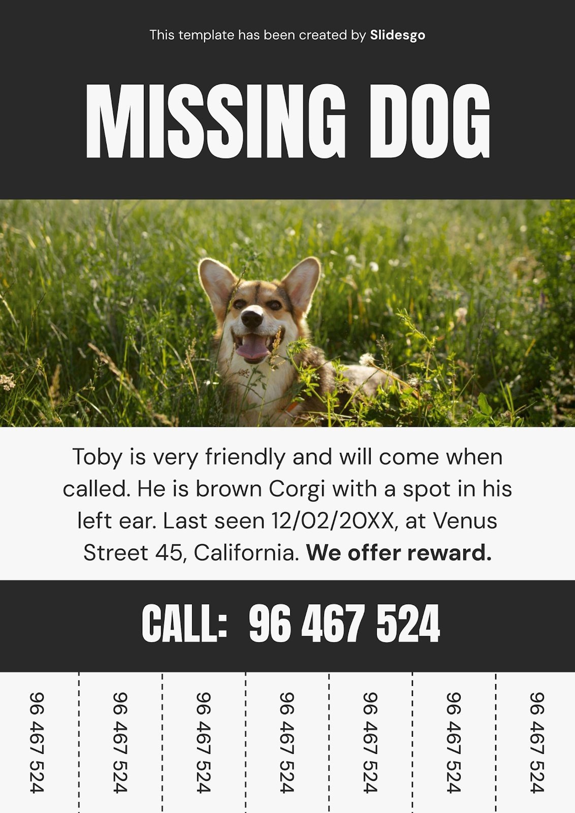 Printable Missing Dog Poster Presentation