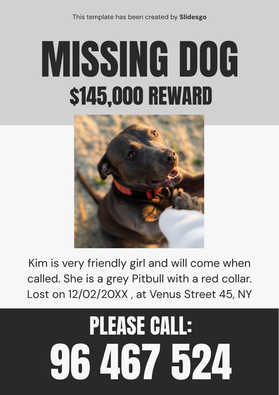 Printable Missing Dog Poster Presentation