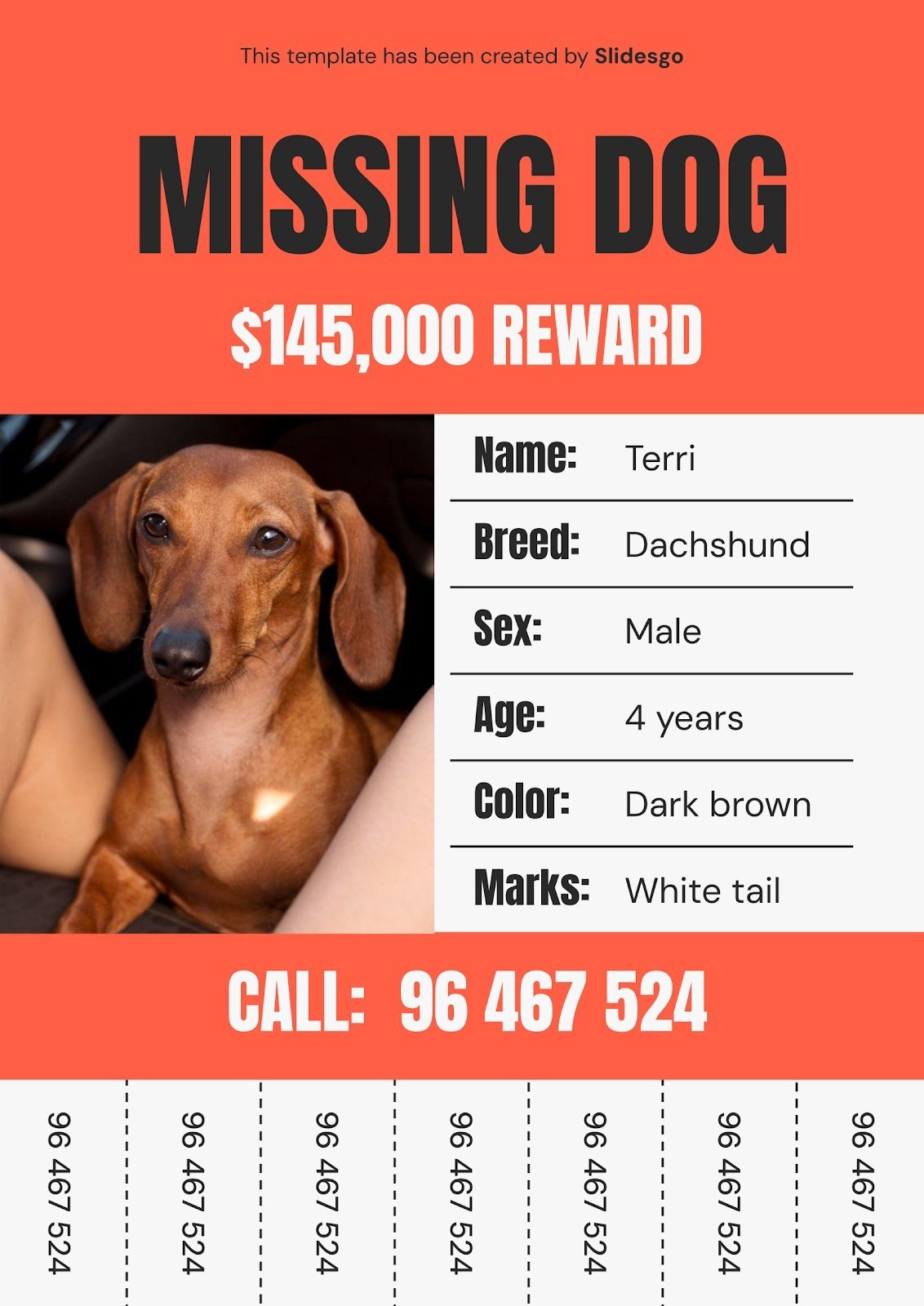Printable Missing Dog Poster Presentation
