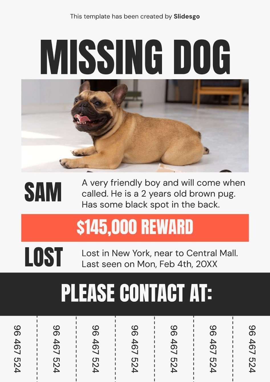 Printable Missing Dog Poster Presentation