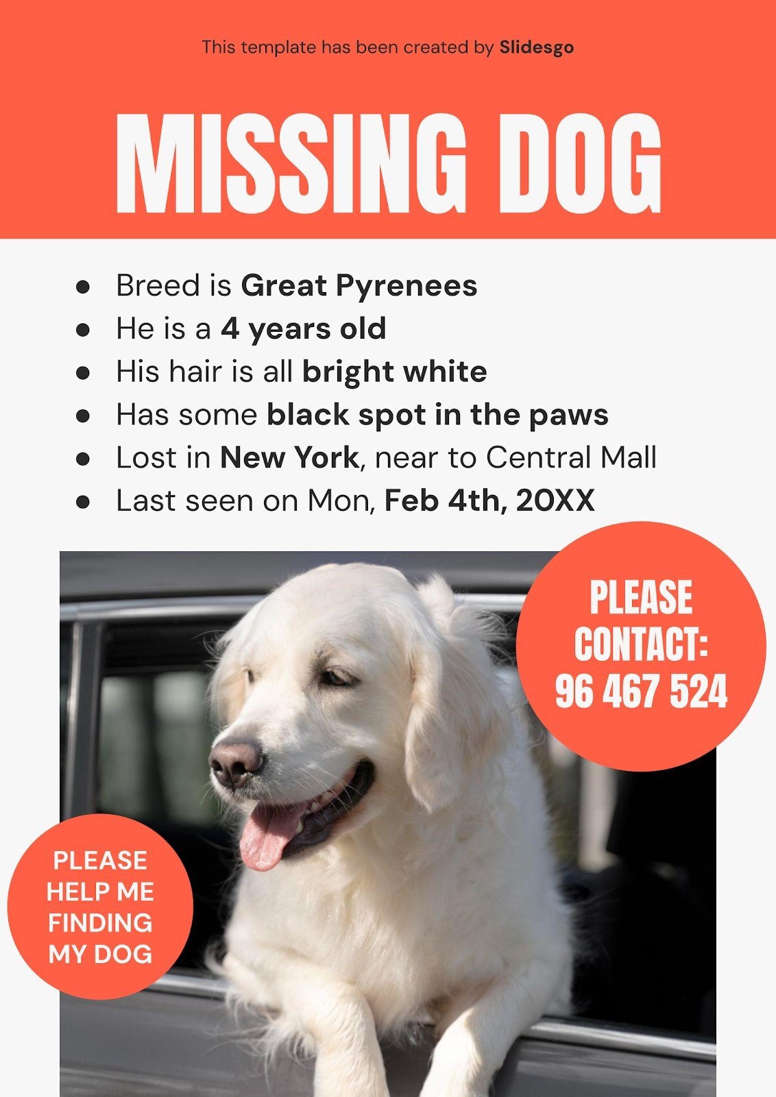 Printable Missing Dog Poster Presentation