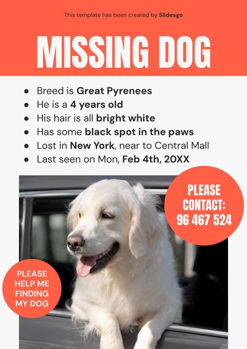 Printable Missing Dog Poster Presentation