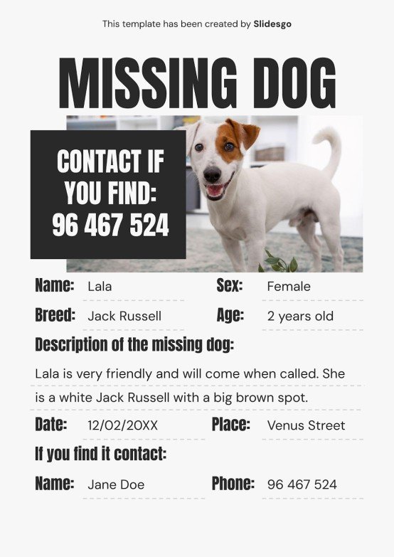 Printable Missing Dog Poster Presentation