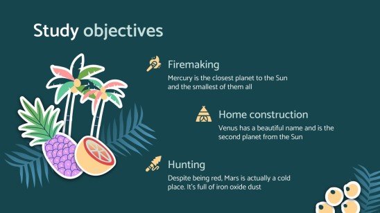 Lost in a Desert Island Thesis Defense Presentation