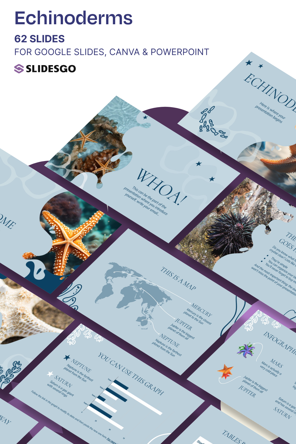 Echinoderms Presentation