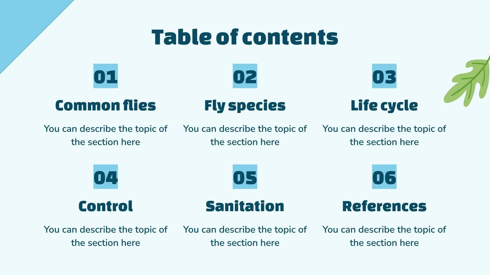 All About Insects: Common Fly Presentation