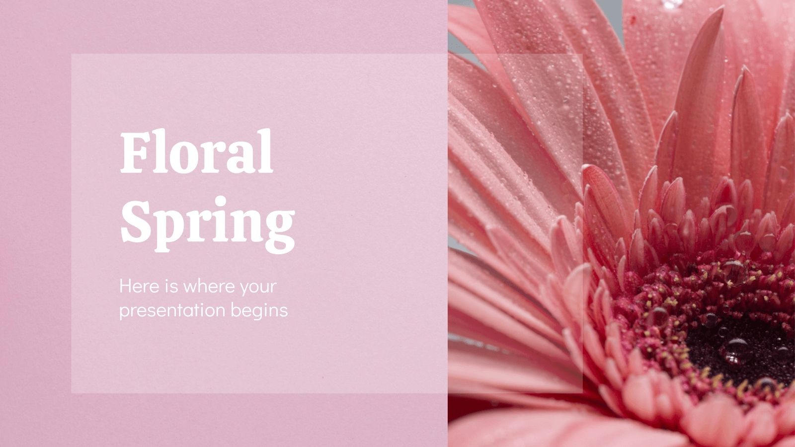 Floral Spring Google Slides Theme and PowerPoint Template