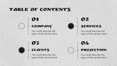 Social Media Management Service Company Profile Presentation