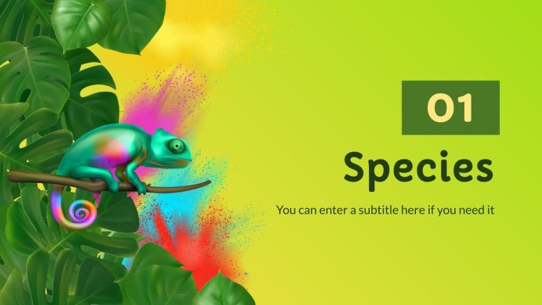 Chameleon Minitheme Presentation