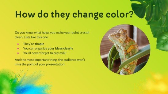 Chameleon Minitheme Presentation