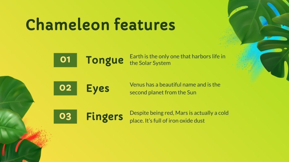 Chameleon Minitheme Presentation