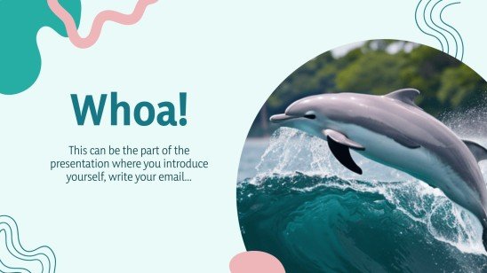 Dolphin Conservation Presentation
