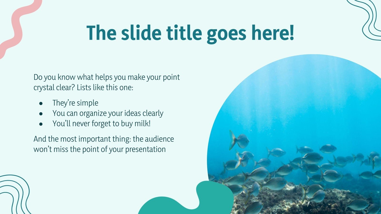 Dolphin Conservation Presentation