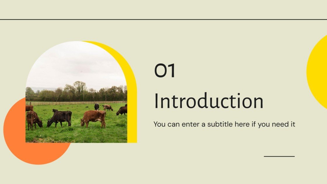 Biotechnology Major for College: Animal Breeding