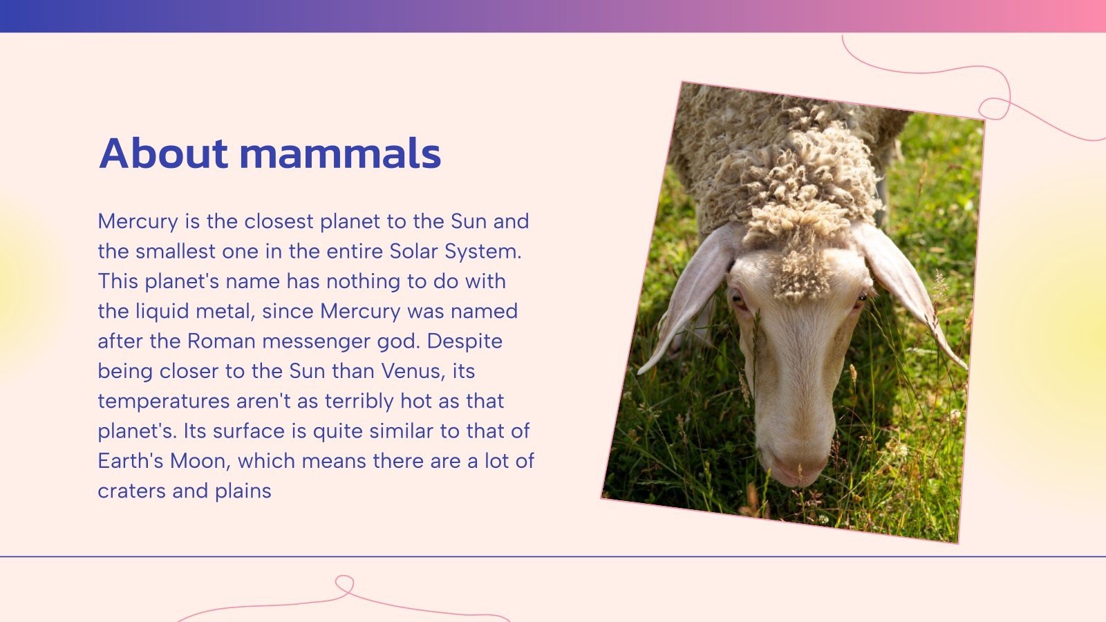 Biology Subject Activities for Elementary: Mammals