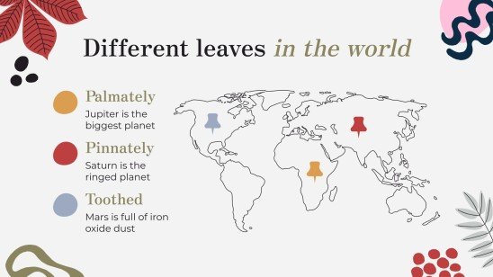 Dendrology Workshop Presentation
