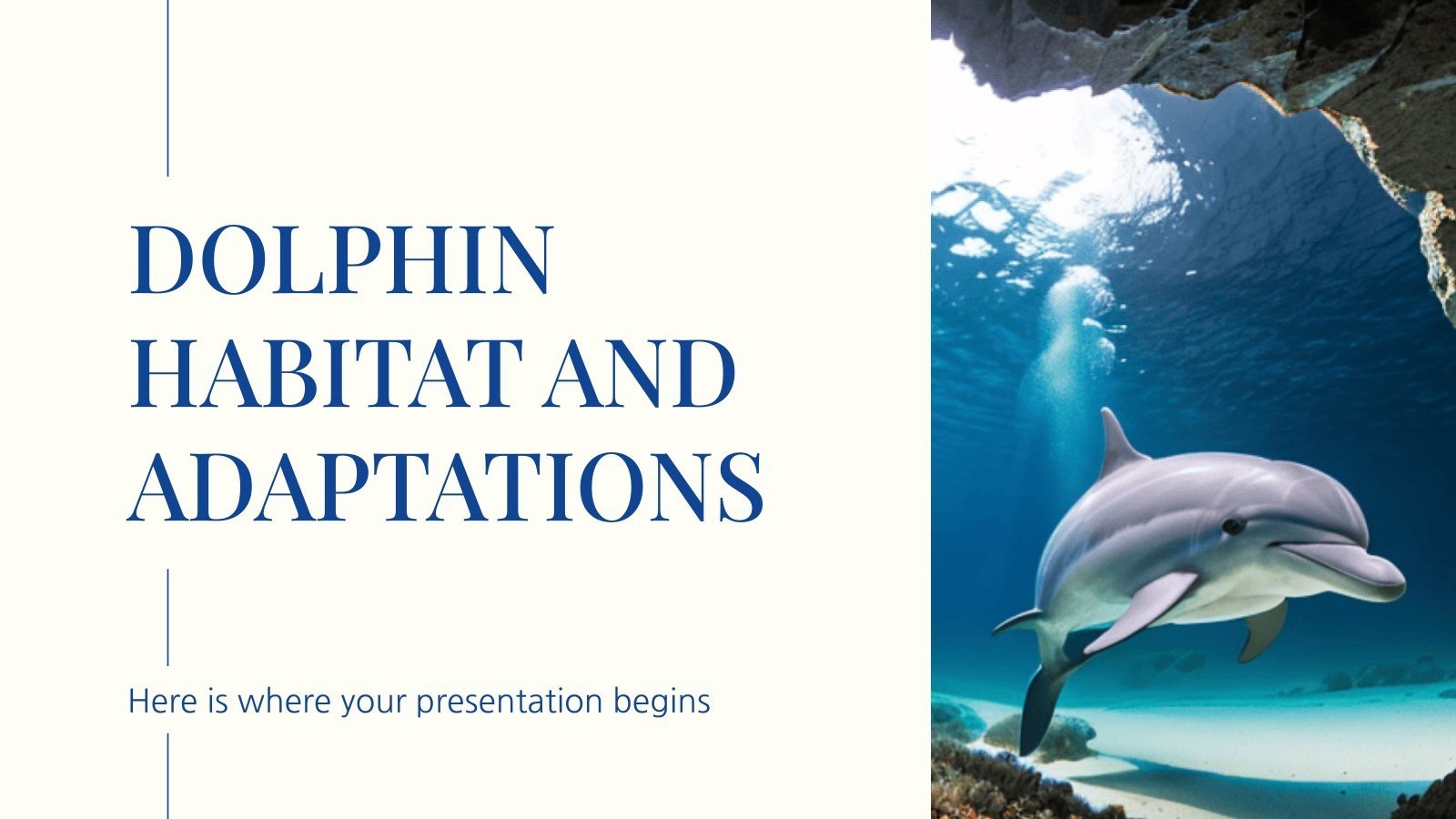 Dolphin Habitat and Adaptations Presentation