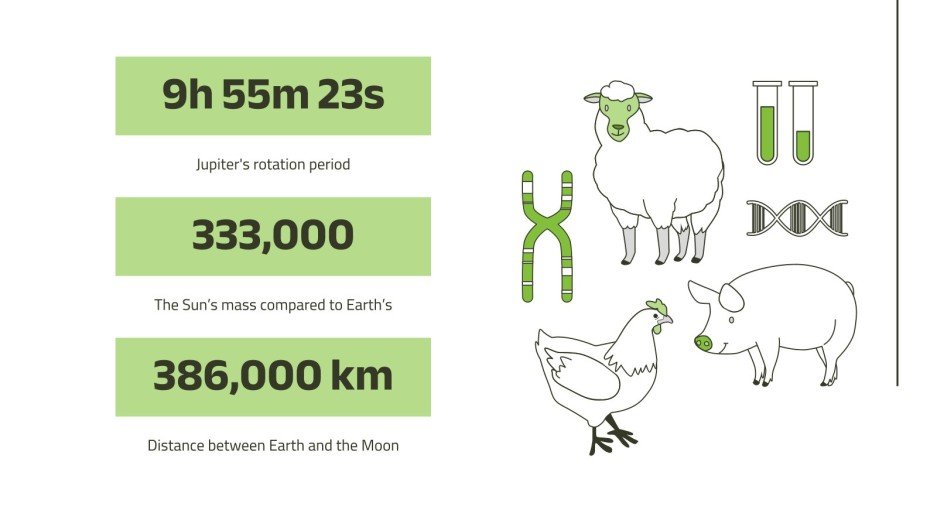 Biotechnology on Animal Breeding Thesis Defense Presentation