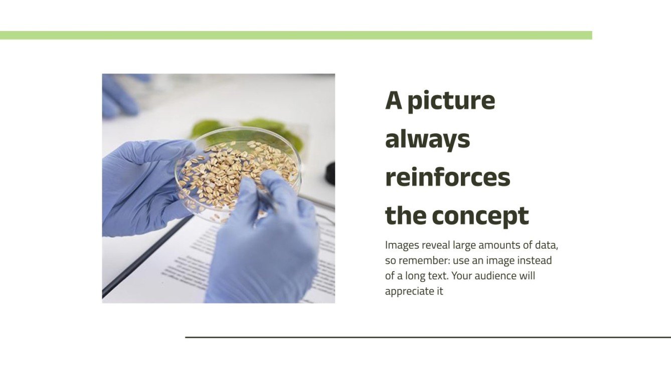 Biotechnology on Animal Breeding Thesis Defense Presentation