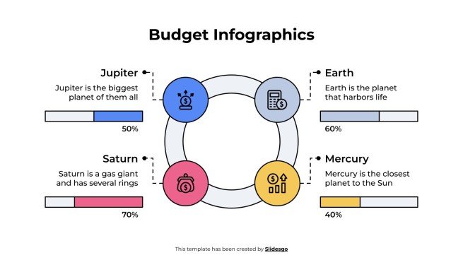 Budget Infographics Template